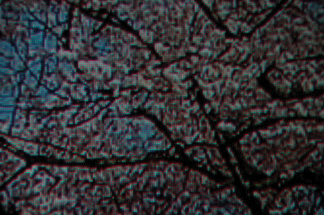 GIF eh - animated GIF on GIFER