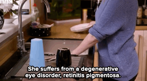 Vice GIF - Find on GIFER