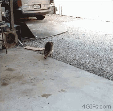 Selfless GIF - Find on GIFER