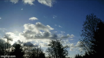Video time attempt GIF - Find on GIFER