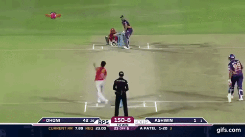Entertainment Fielding Gif By Dream11 Find Share On Giphy