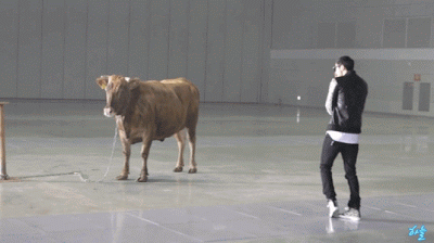 Animation performance kabuki GIF - Find on GIFER