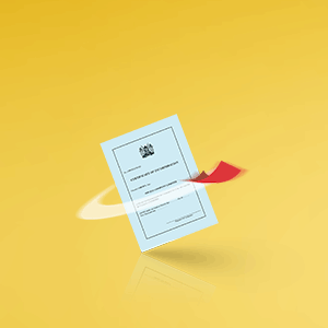 Government GIF - Find on GIFER