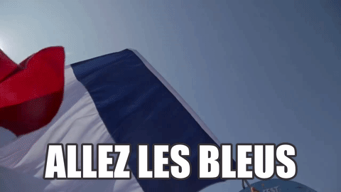 France football french GIF - Find on GIFER