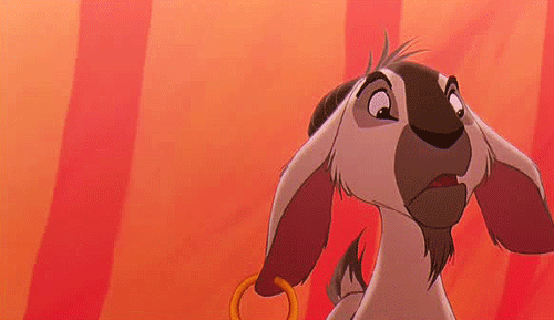 Djali disney GIF - Find on GIFER