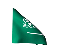 Saudi bn low GIF - Find on GIFER