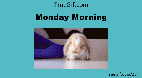 GIF relatable lolthatsme monday morning - animated GIF on GIFER