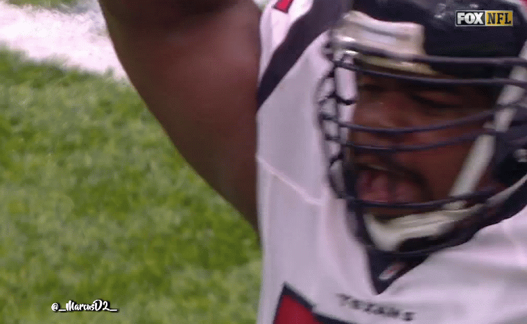 Vince Wilfork Interception Gif