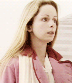 GIF funny cat cute - animated GIF on GIFER