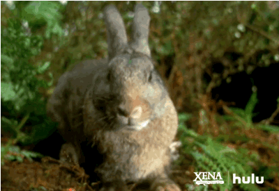 Gabrielle hulu nbc GIF - Find on GIFER