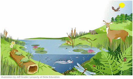 Interaction GIF - Find on GIFER