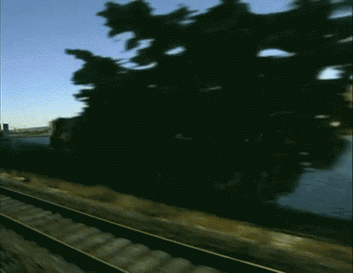 GIF reaction get boards - animated GIF on GIFER