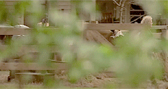 Oliver platt betty white movietag GIF - Find on GIFER