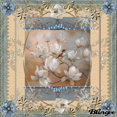 Magnolia GIF - Find on GIFER