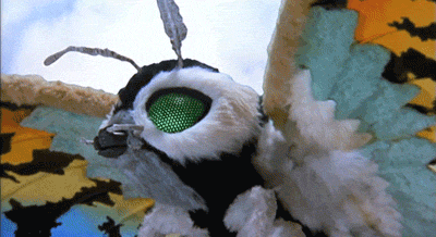 Mothra kaiju GIF - Find on GIFER