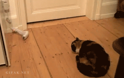 Repellent GIF - Find on GIFER