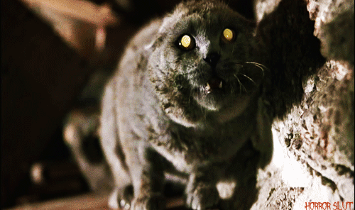 Winston churchill GIF - Find on GIFER