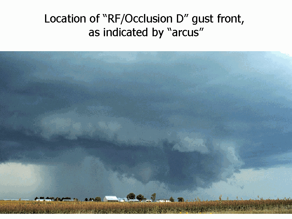 Features GIF - Find on GIFER