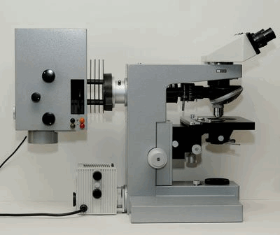 GIF microscope - animated GIF on GIFER