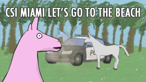Csi miami GIF - Find on GIFER