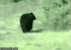 Get back here GIF - Find on GIFER