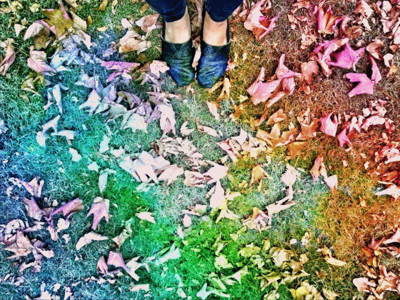 Fofo primavera beige GIF - Find on GIFER