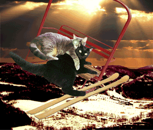 Sunset seattle ferry GIF - Find on GIFER
