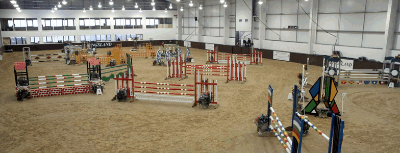 Show farm equestrian GIF - Find on GIFER