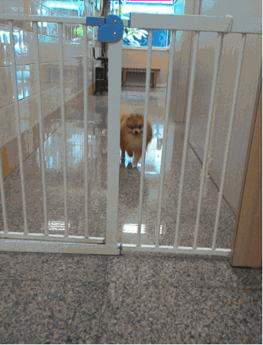 Baby fluff GIF - Find on GIFER