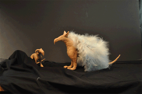 GIF swamp - animated GIF on GIFER