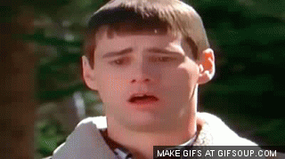 GIF lloyd - animated GIF on GIFER