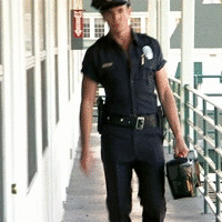 Nypd GIF - Find on GIFER