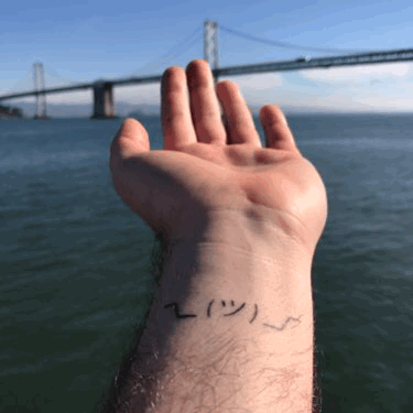 GIF niv dror niv shrug bay bridge shrug - animated GIF on GIFER