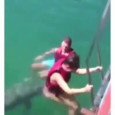 Voce E Um Mentiroso Gif