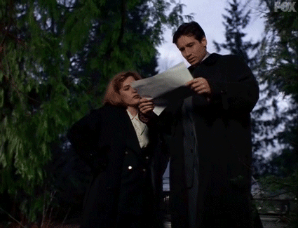 Xfiles the x files david duchovny GIF on GIFER - by Dirr