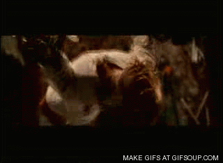 Obsessed GIF - Find on GIFER