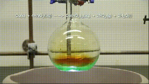 Reaction s reactions GIF - Find on GIFER