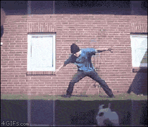 GIF fail breakdance cat - animated GIF on GIFER