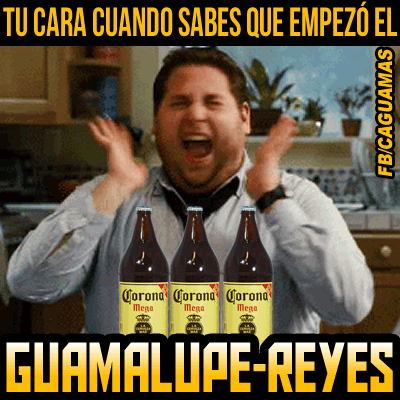 Borrachos cerveza GIF - Find on GIFER