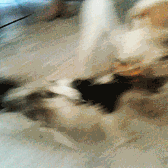 Гифка dig down deeper гиф картинка, скачать анимированный gif на GIFER