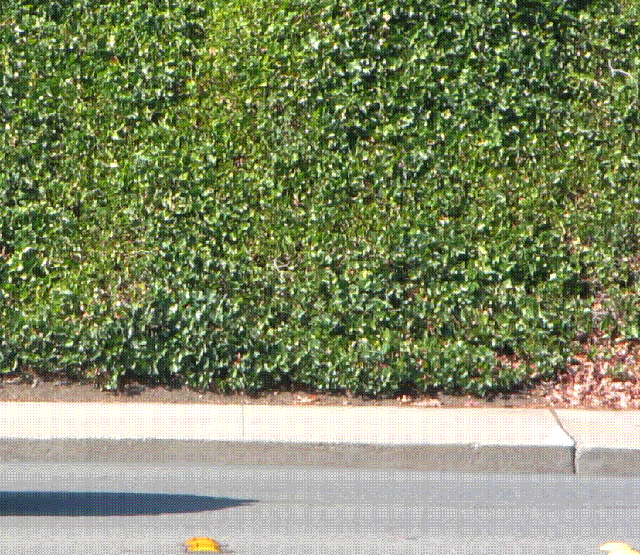 Cupcakes dozen GIF - Find on GIFER