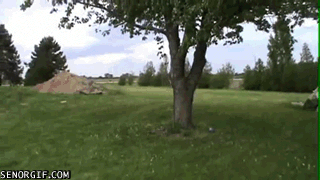 Hummer youre kidding GIF - Find on GIFER