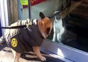 GIF piano pencil coloredpencil - animated GIF on GIFER