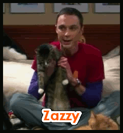Sheldon GIF - Find on GIFER