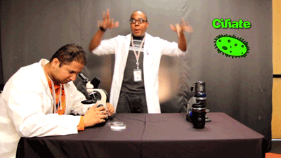 Microbes science pbs GIF - Find on GIFER