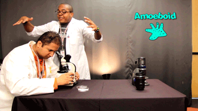 Microbes science pbs GIF - Find on GIFER