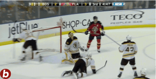 Boston bruins GIF - Find on GIFER