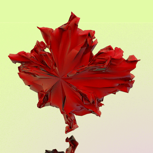 Canada canada day maple leaf GIF - Find on GIFER