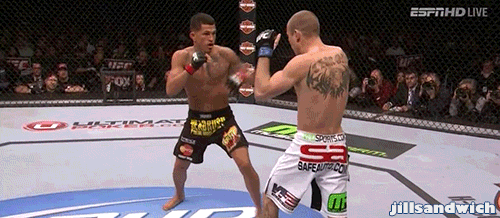 Sports fox ufc GIF - Find on GIFER