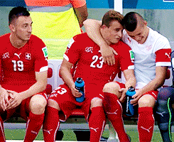 World cup soccer celebration GIF - Find on GIFER